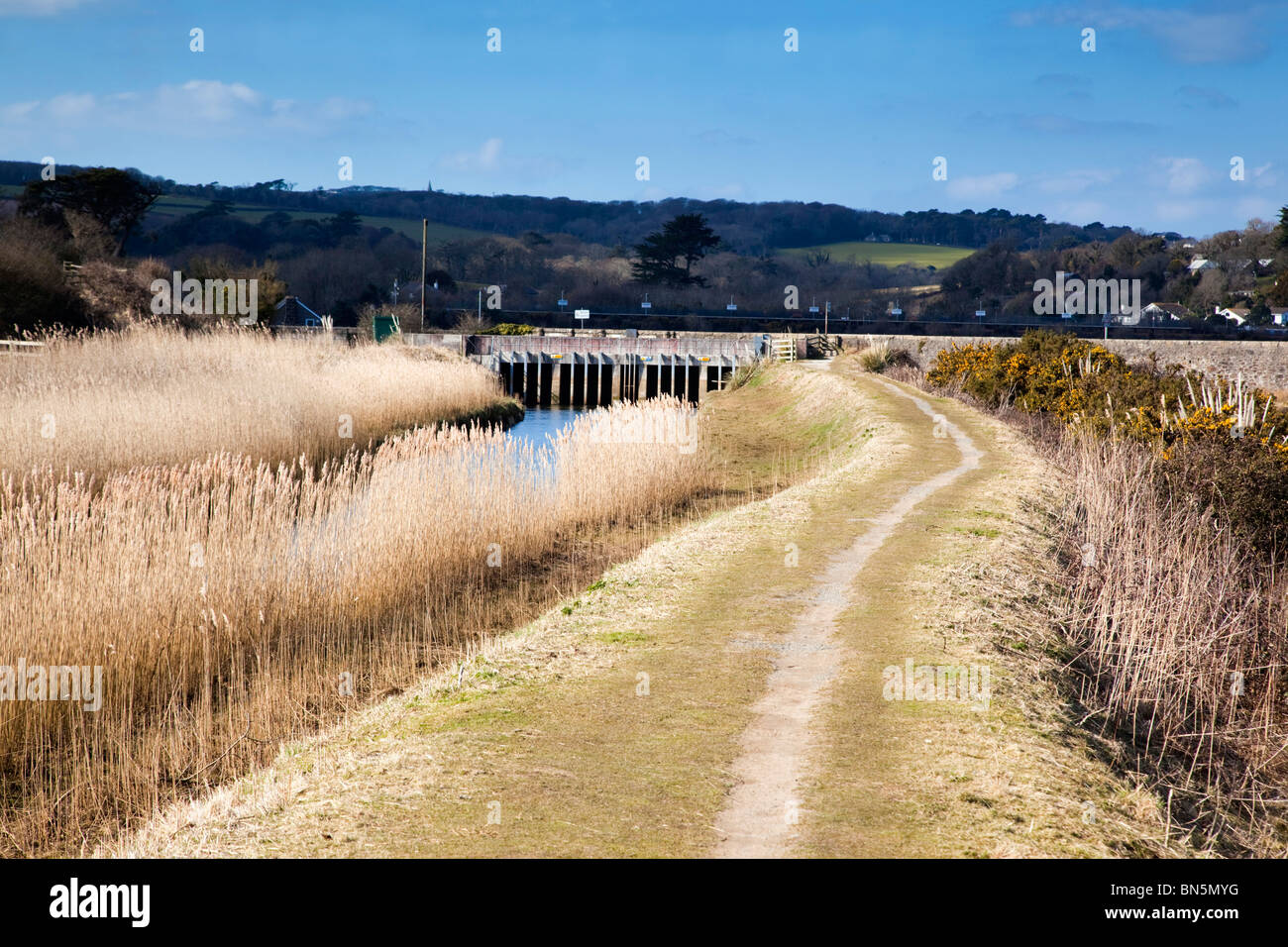 Rspb Hayle Estuary High Resolution Stock Photography and Images - Alamy