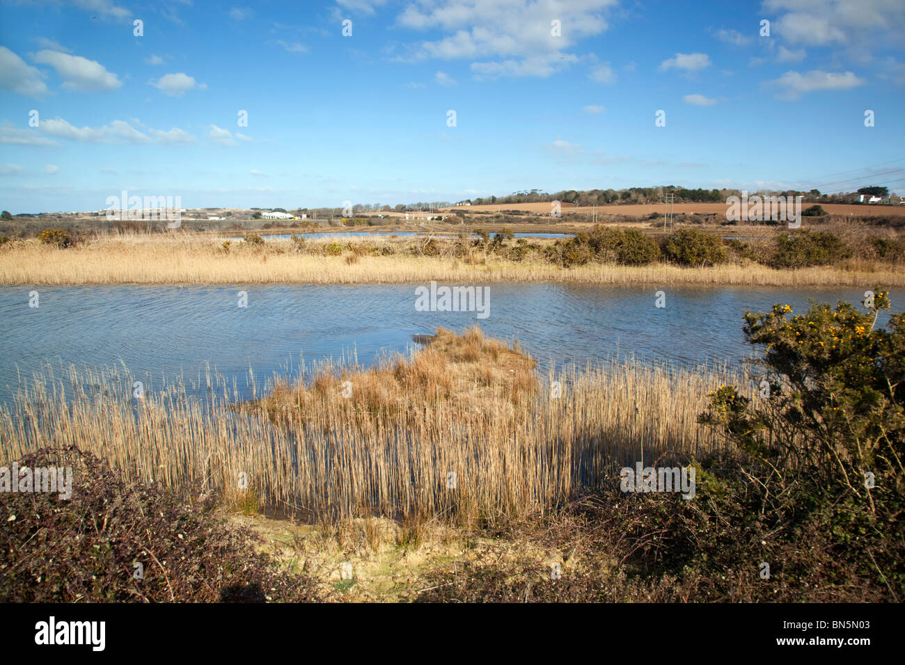 Pools at high tide on the rspb reserve hi-res stock photography and ...