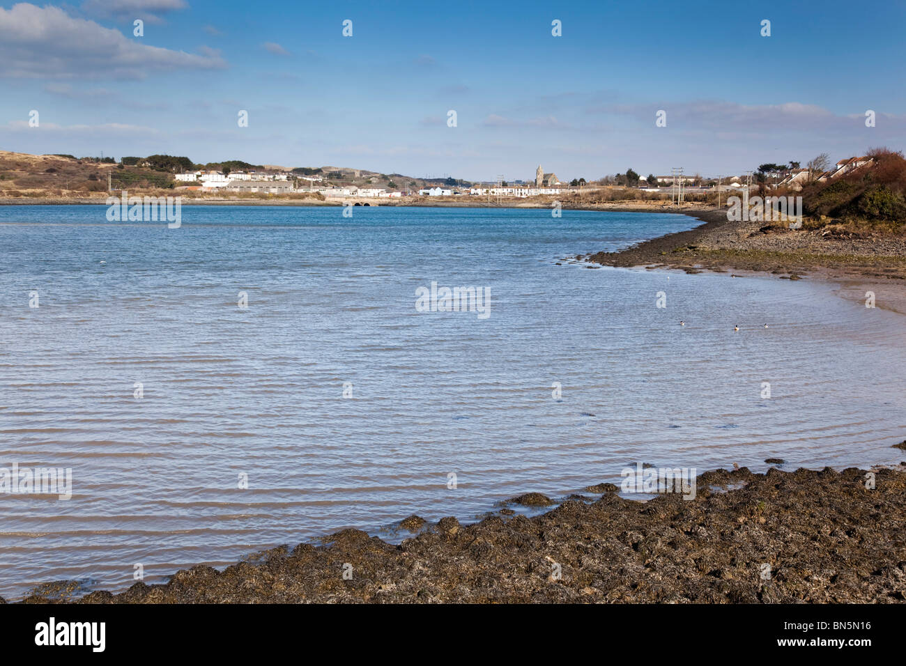 Carnsew Pool in Hayle Estuary, Cornwall; RSPB reserve Stock Photo - Alamy