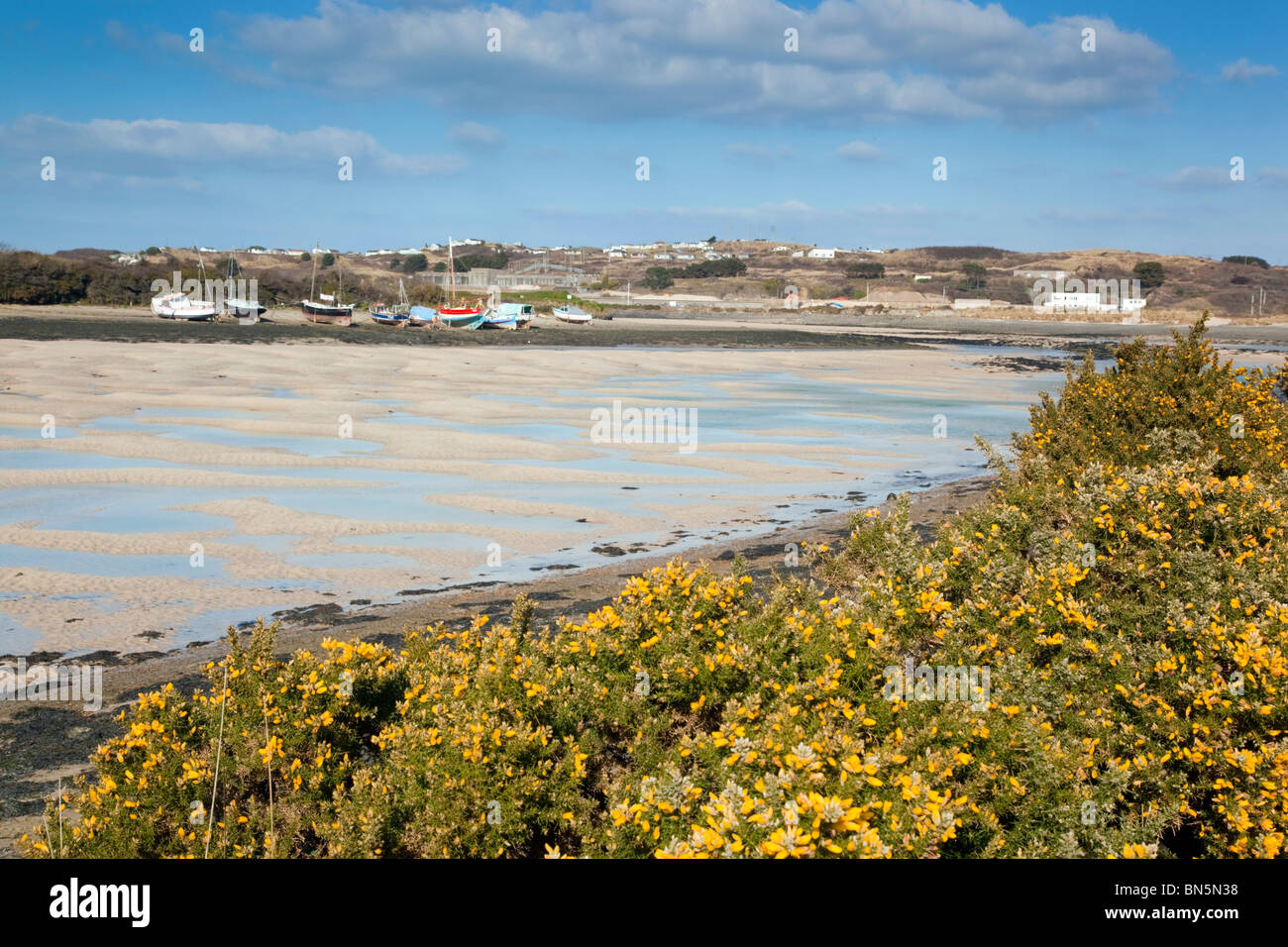 Hayle river; low tide; looking towards towans; Cornwall Stock Photo - Alamy
