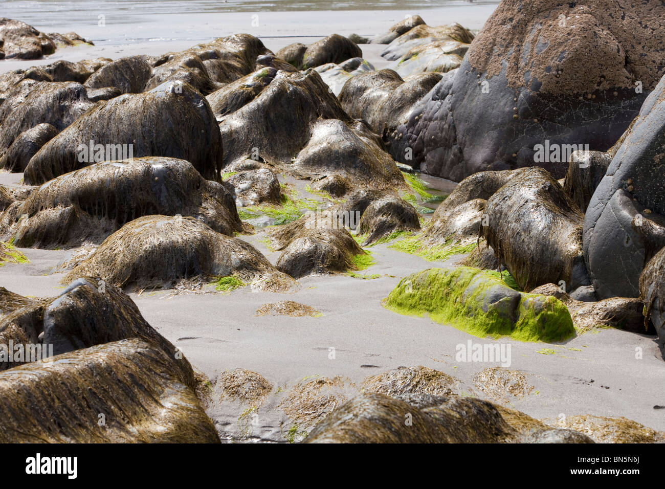 Serpentine rock on the beach at Kennack Sands in Cornwall, UK Stock ...