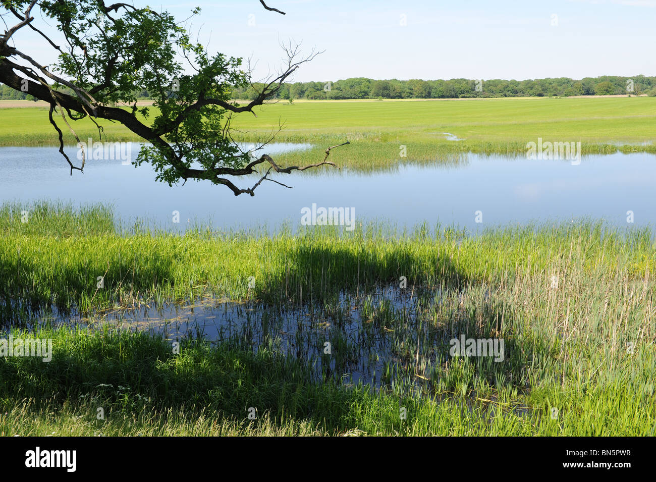 Dessau wörlitz hi-res stock photography and images - Alamy