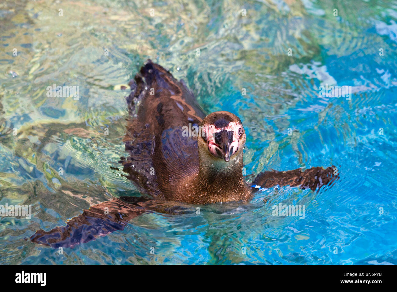 Sanctuary with a pool hi-res stock photography and images - Alamy