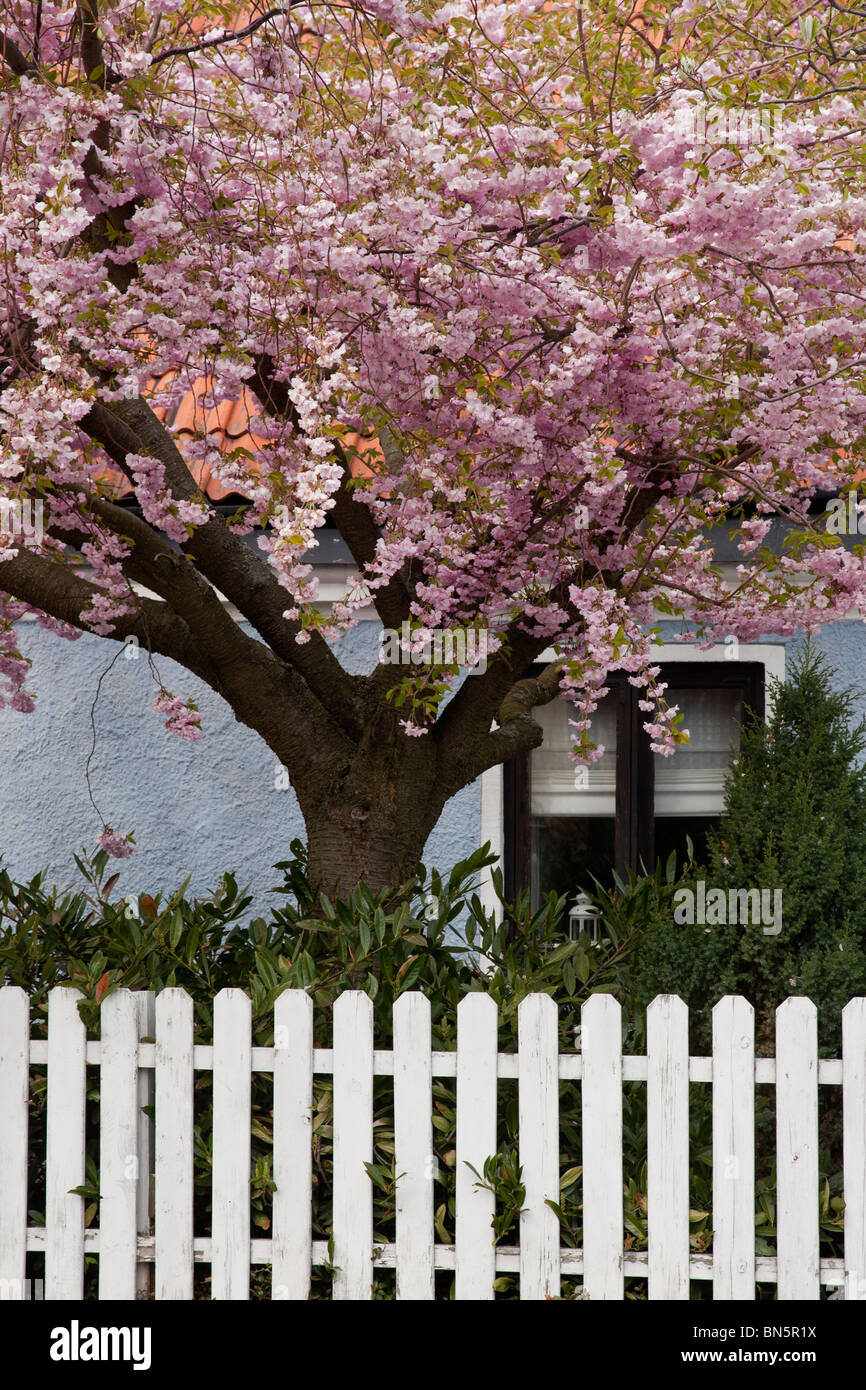 Garden styles hi-res stock photography and images - Alamy