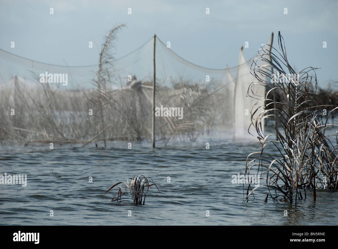 Fish trap africa hi-res stock photography and images - Alamy