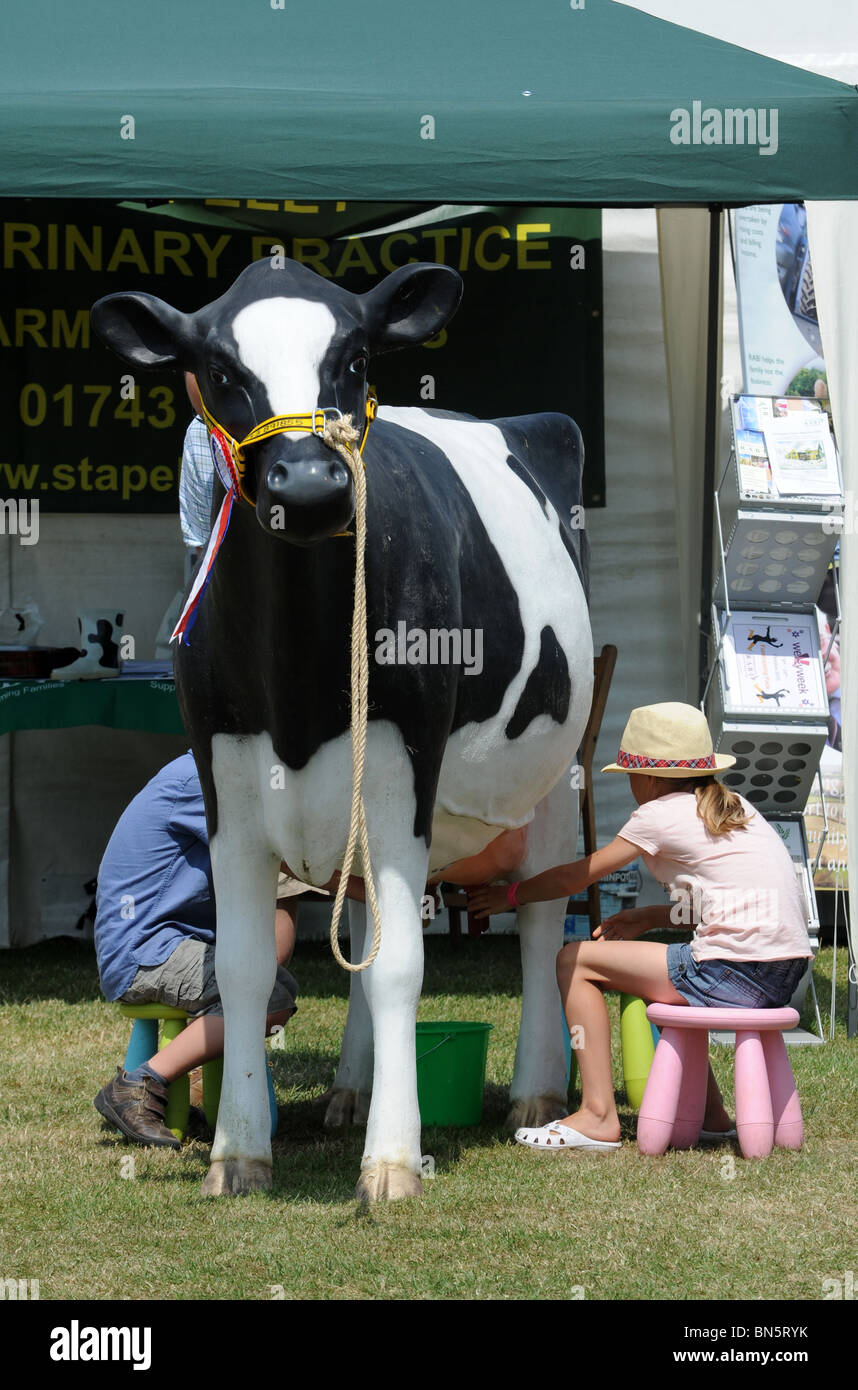 Young girl milking an artificial cow at Shropshire County Show Stock ...