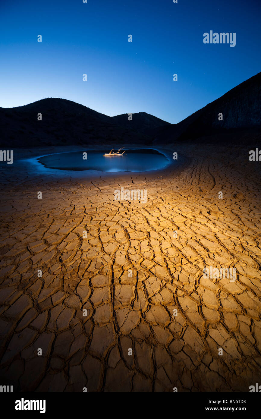 Drought land dry tree hi-res stock photography and images - Alamy