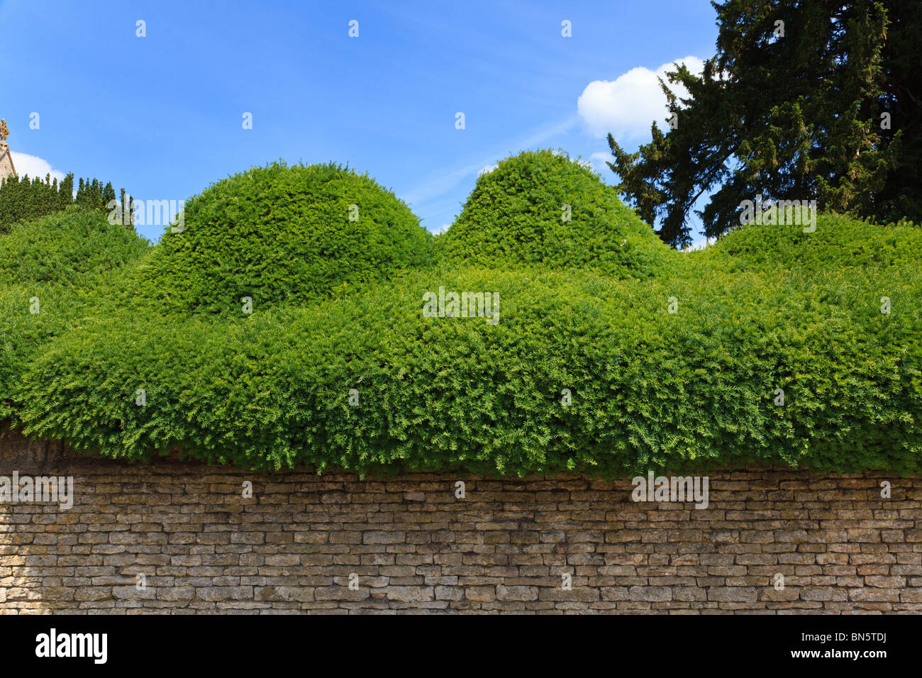 Yew hedge hi-res stock photography and images - Alamy
