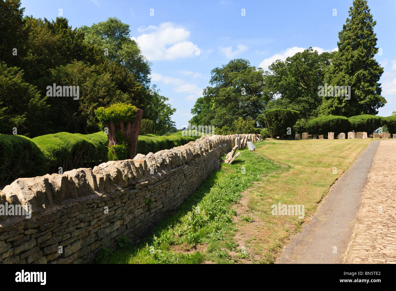 Clipped and shaped yew hedge of Turvey House in the desirable village ...