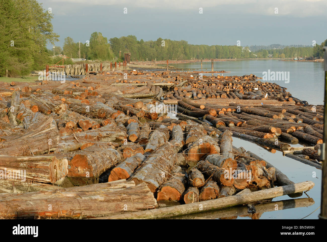 Log booms on the fraser river hi-res stock photography and images - Alamy