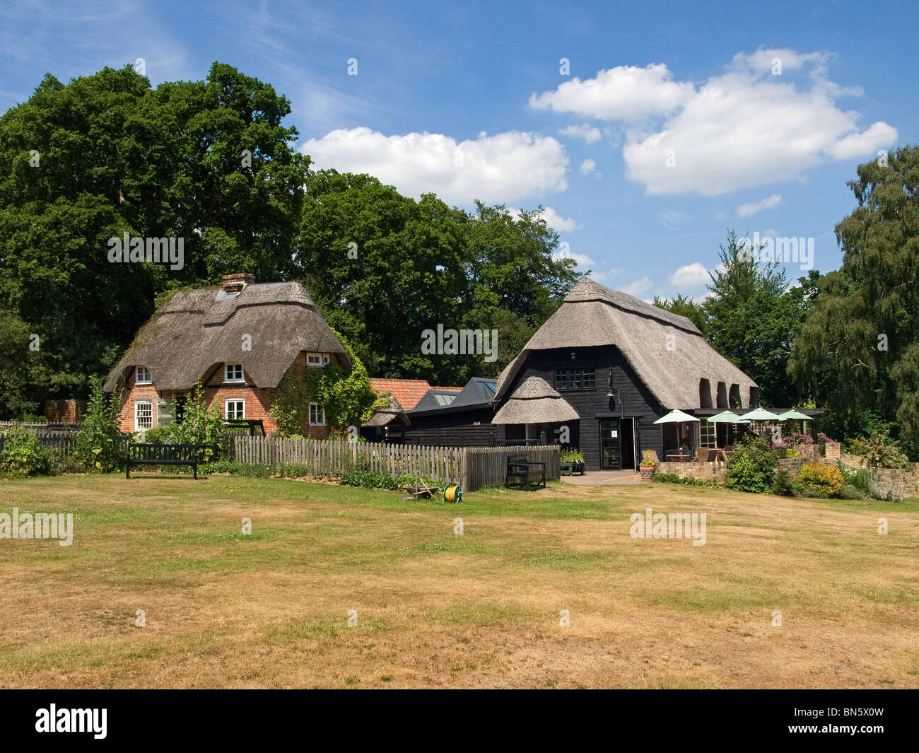 16th Century Cobb Cottage and Coffee shop and tea room at Furzey ...