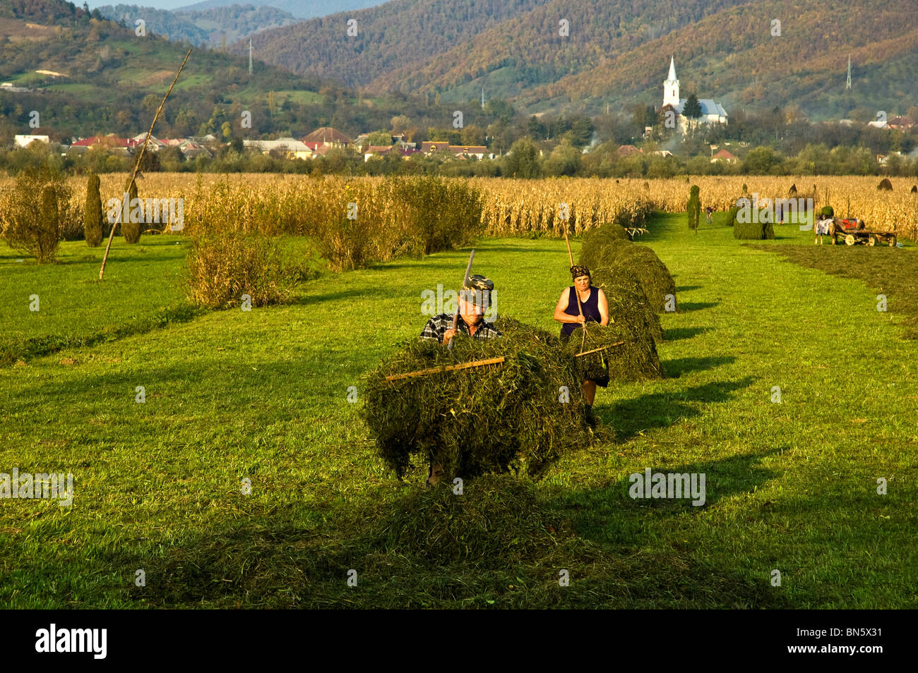 A Romanian farming couple Harvesting hay at sunset Stock Photo - Alamy