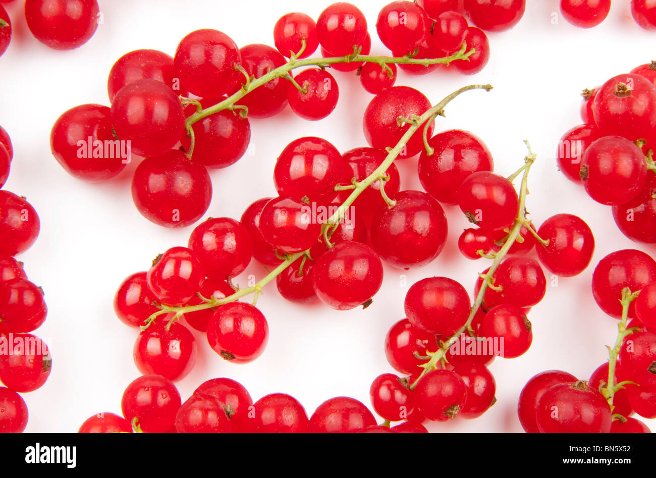 Red currant, Ribes Rubrum, isolated on white background Stock Photo - Alamy
