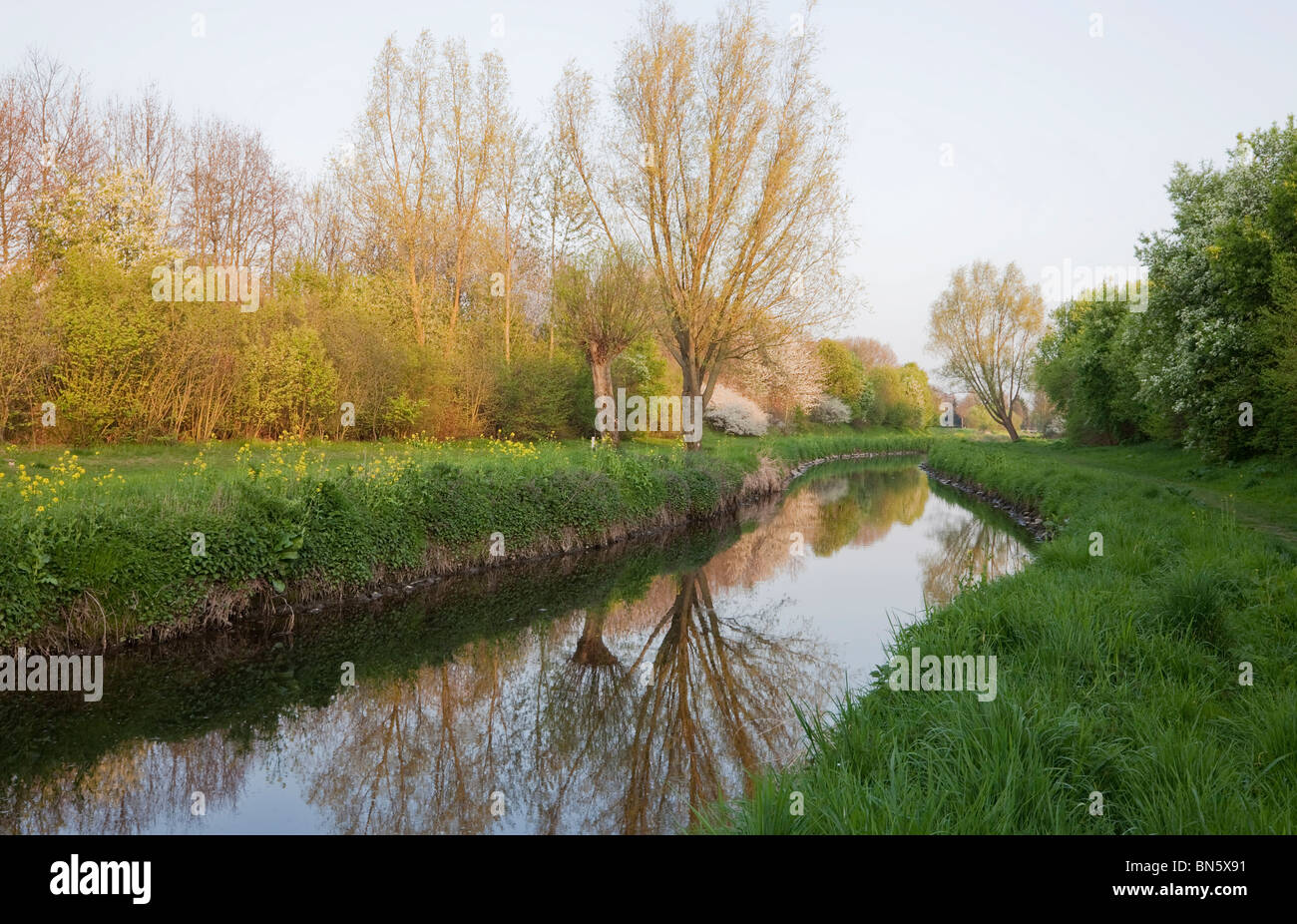 Nice spring landscape with e little creek running trough Stock Photo ...