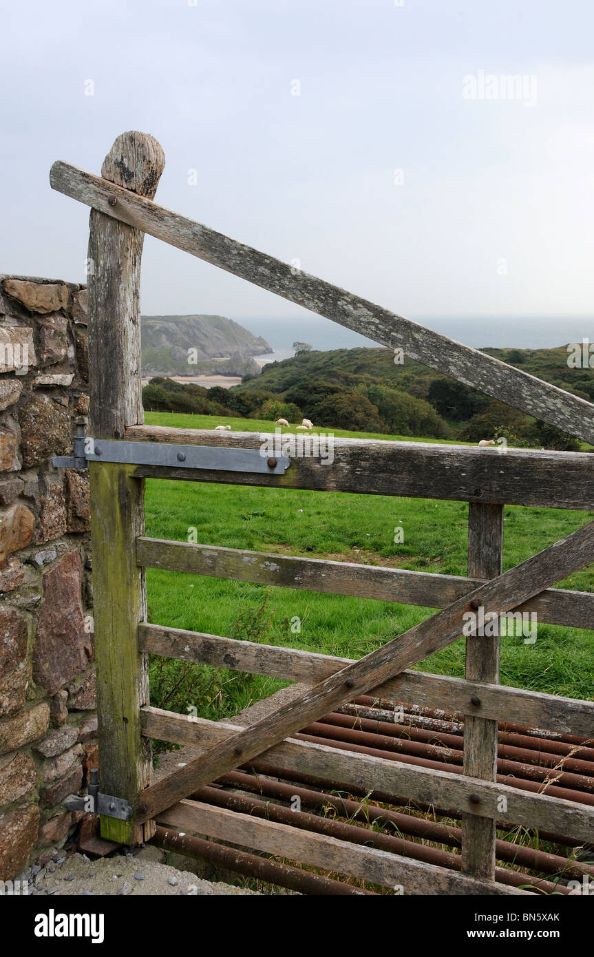 Stone wall and a sheep gate hi-res stock photography and images - Alamy
