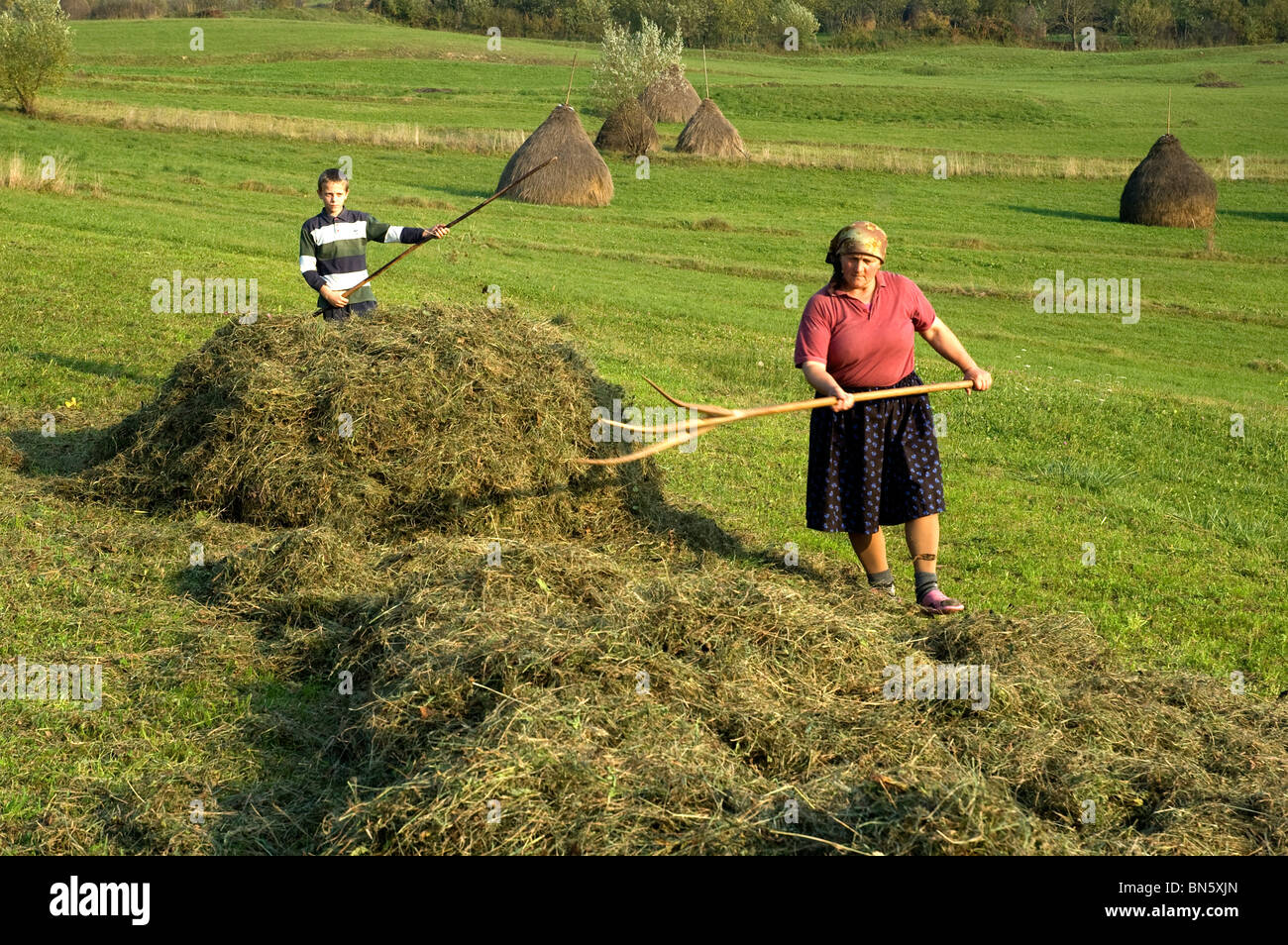 A Romanian Mother with her son Make Hay without any mechanical ...