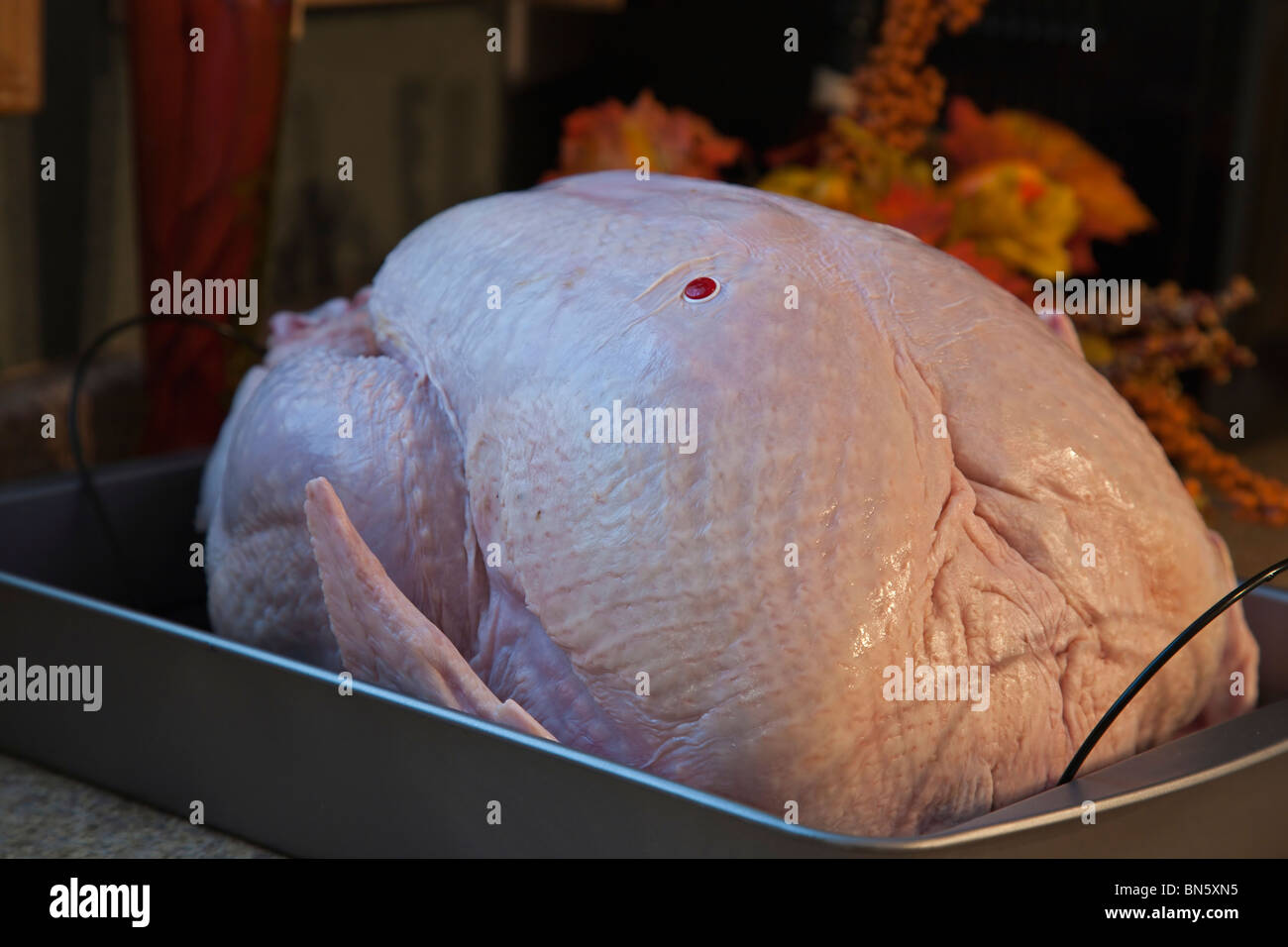 Pan hi res hi-res stock photography and images - Alamy