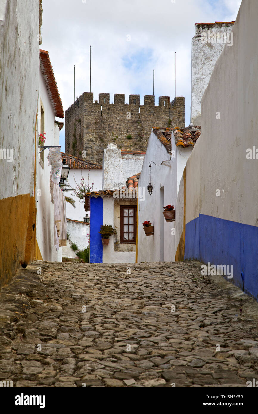 Medieval Cobblestone Alley of Old World Europe with Castle in the ...