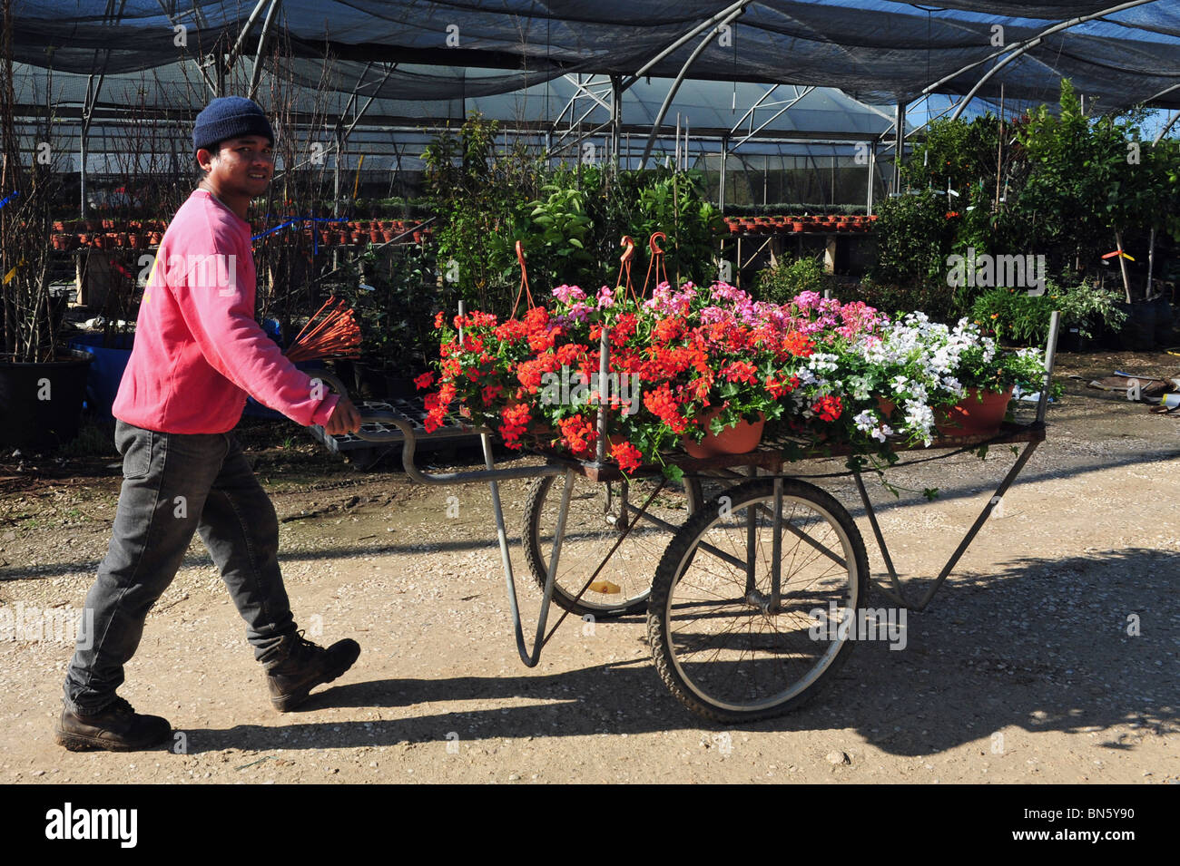 Israeli Farmer High Resolution Stock Photography and Images - Alamy