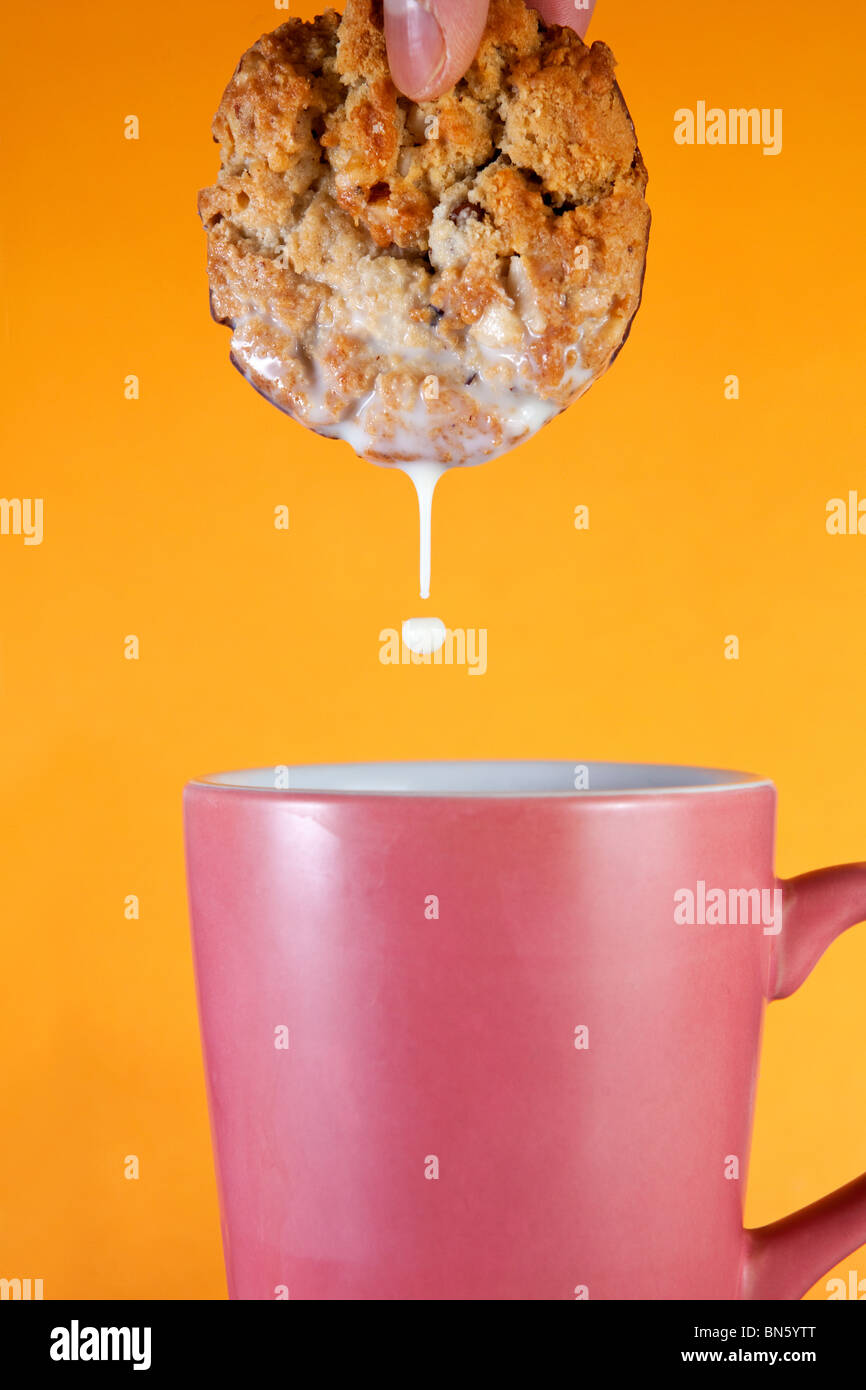 Biscuit being dunked in milk Stock Photo - Alamy