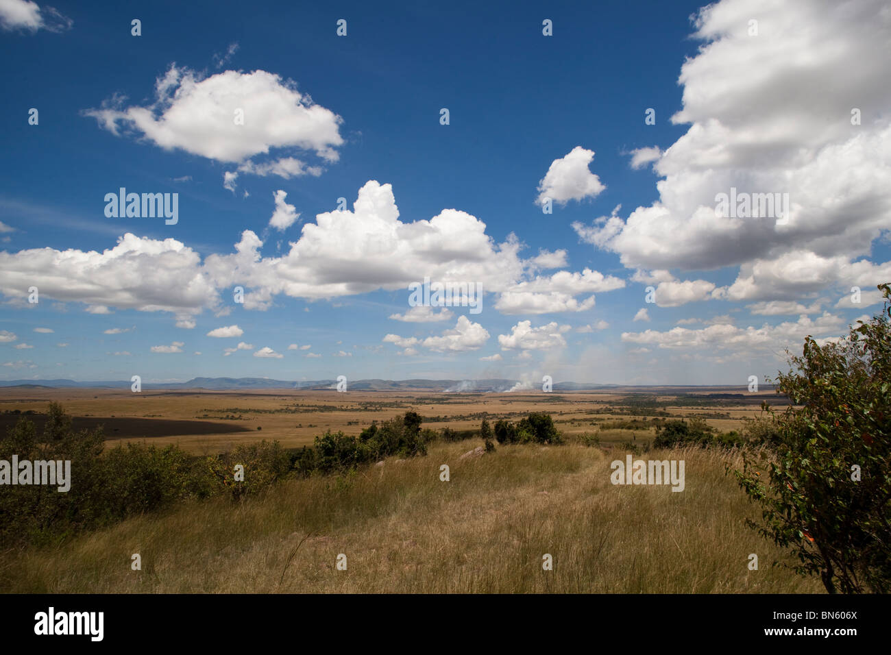 Sunny cloudy scene Stock Photo - Alamy