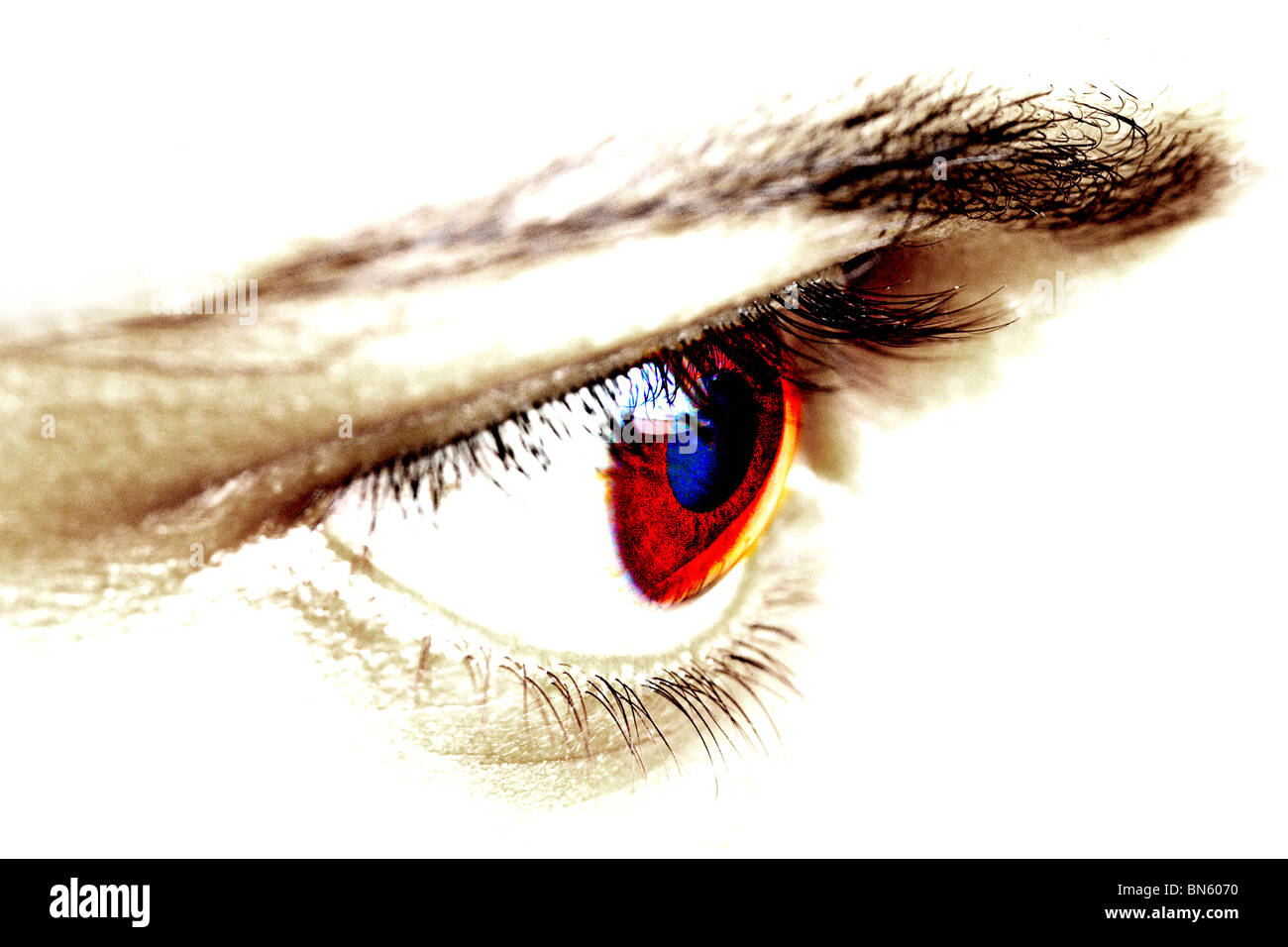 High detail eye hi-res stock photography and images - Alamy