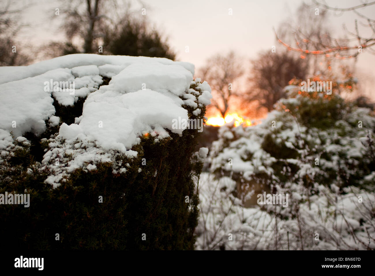 Snow glow scene Stock Photo - Alamy