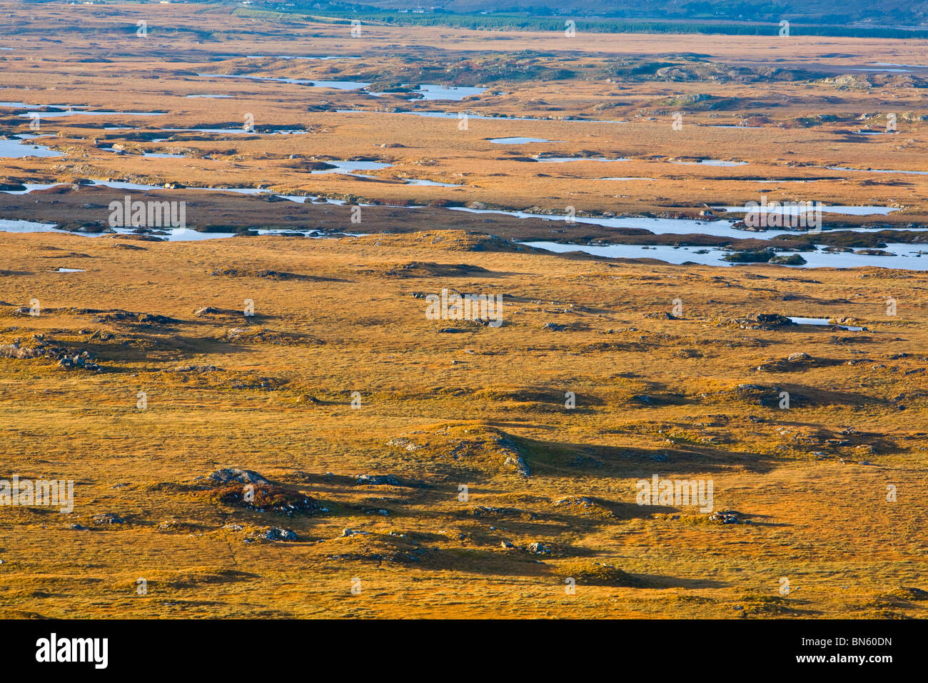 Bog Landscape near Roundstone, Connemara National Park, Connemara, Co ...