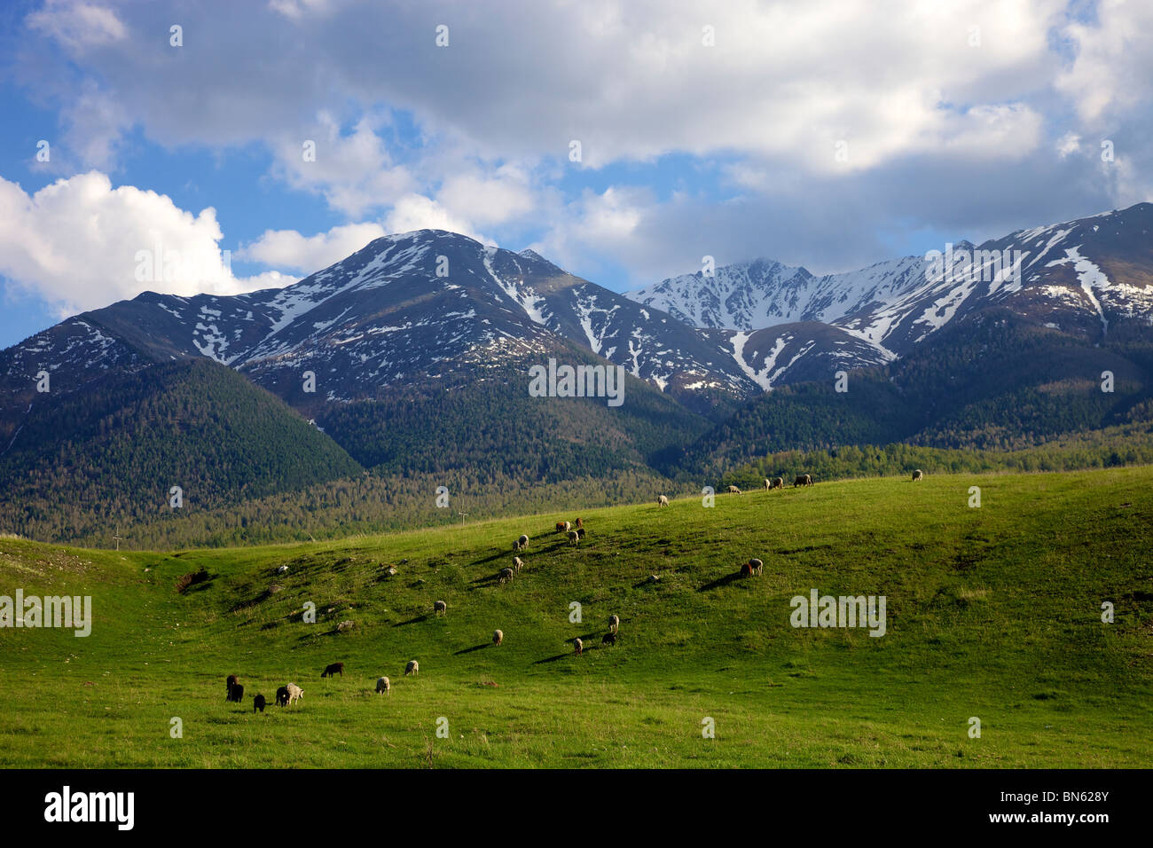 Katon hi-res stock photography and images - Alamy