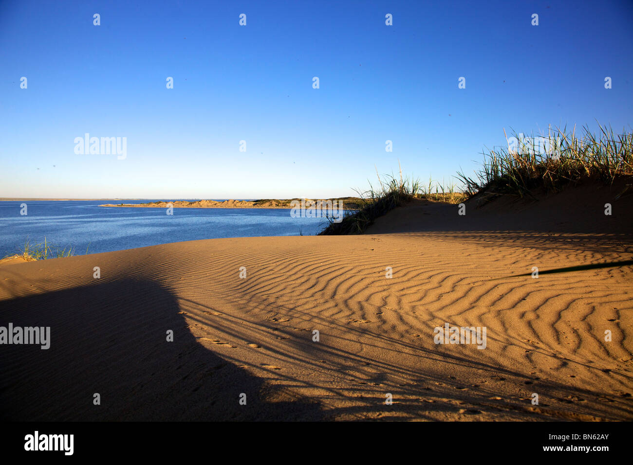 Kizilkum hi-res stock photography and images - Alamy