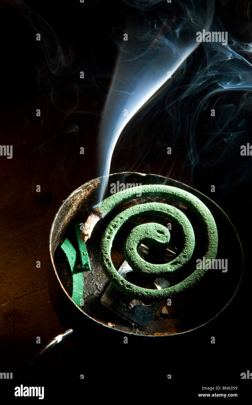 Mosquito Spiral High Resolution Stock Photography and Images - Alamy
