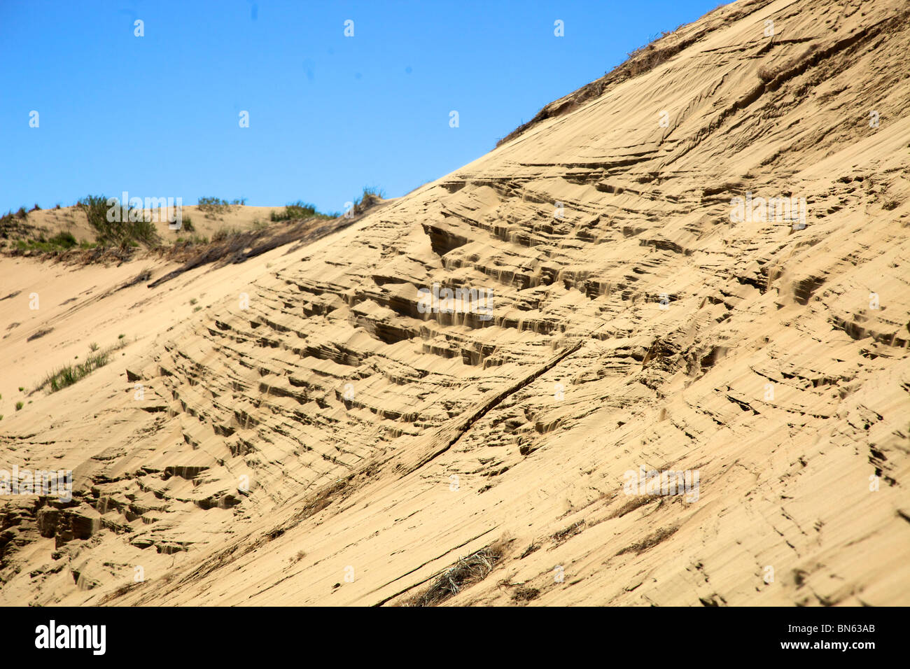 Kizilkum desert, SE Kazakhstan Stock Photo - Alamy