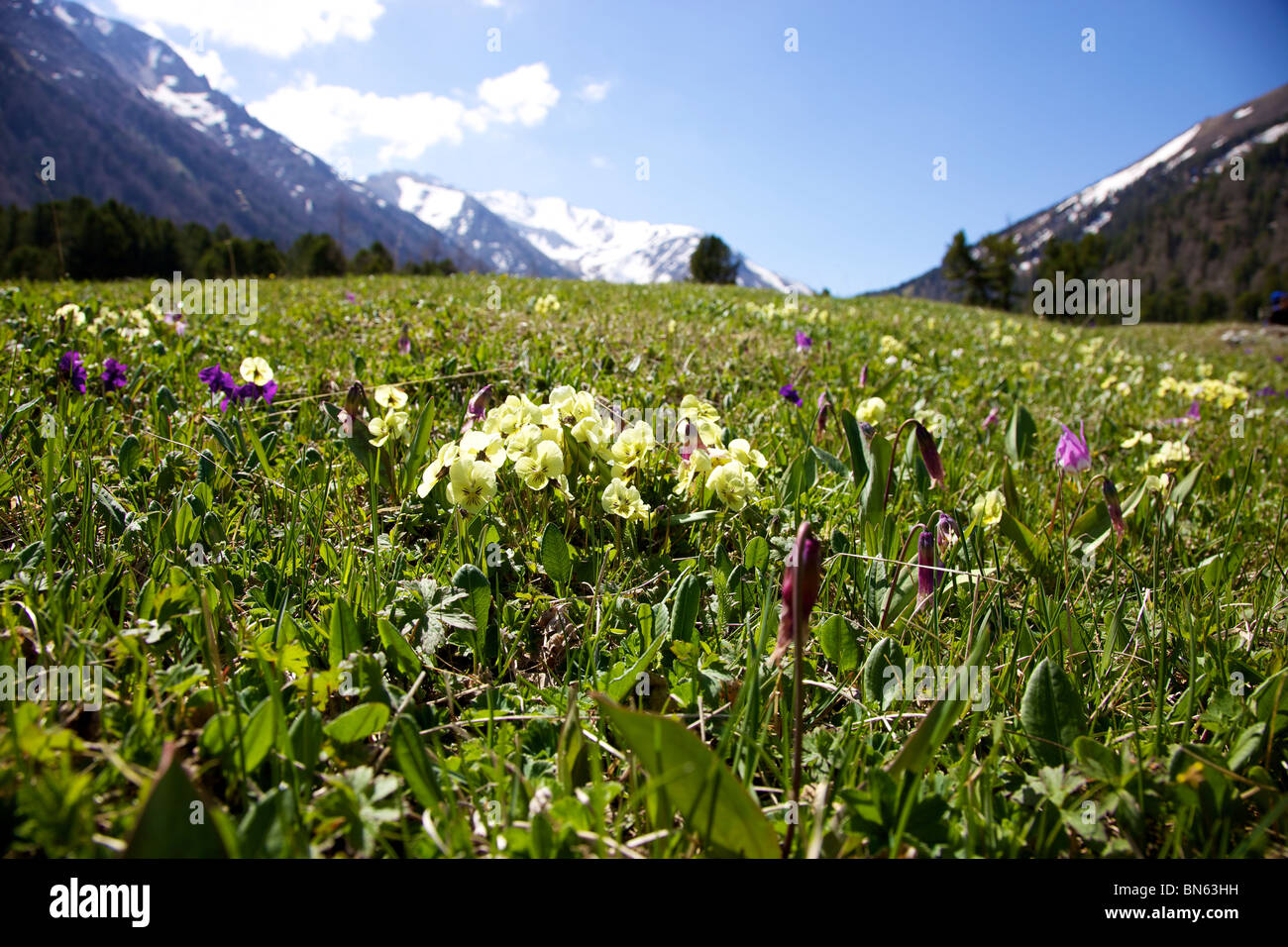 Katon hi-res stock photography and images - Alamy