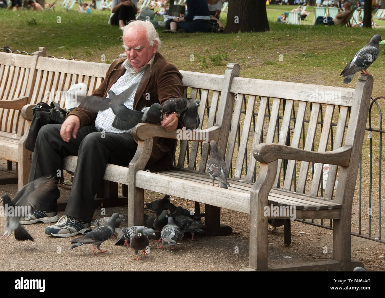 Feeding pest hi-res stock photography and images - Alamy