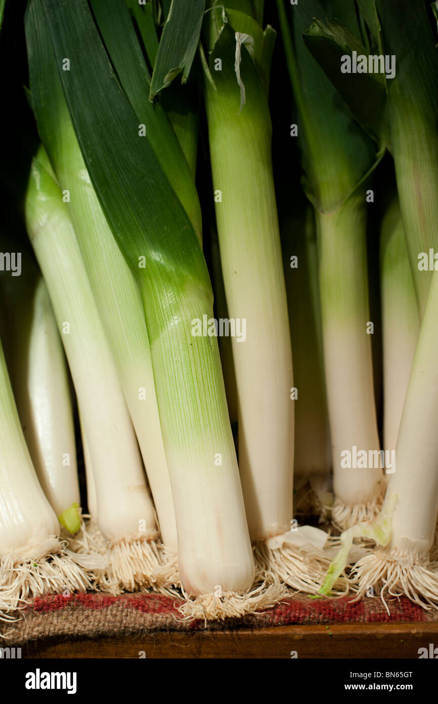 Leeks for sale at a stall at the Adelaide Central Market, South ...