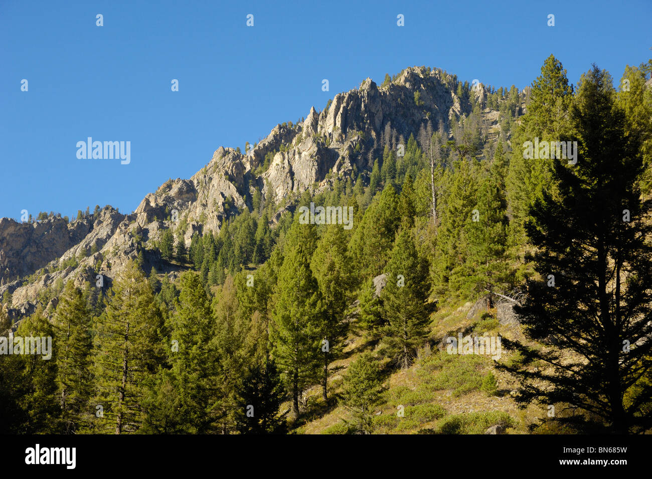Baron Creek valley, Sawtooth Mountains, Sawtooth Wilderness / Sawtooth ...
