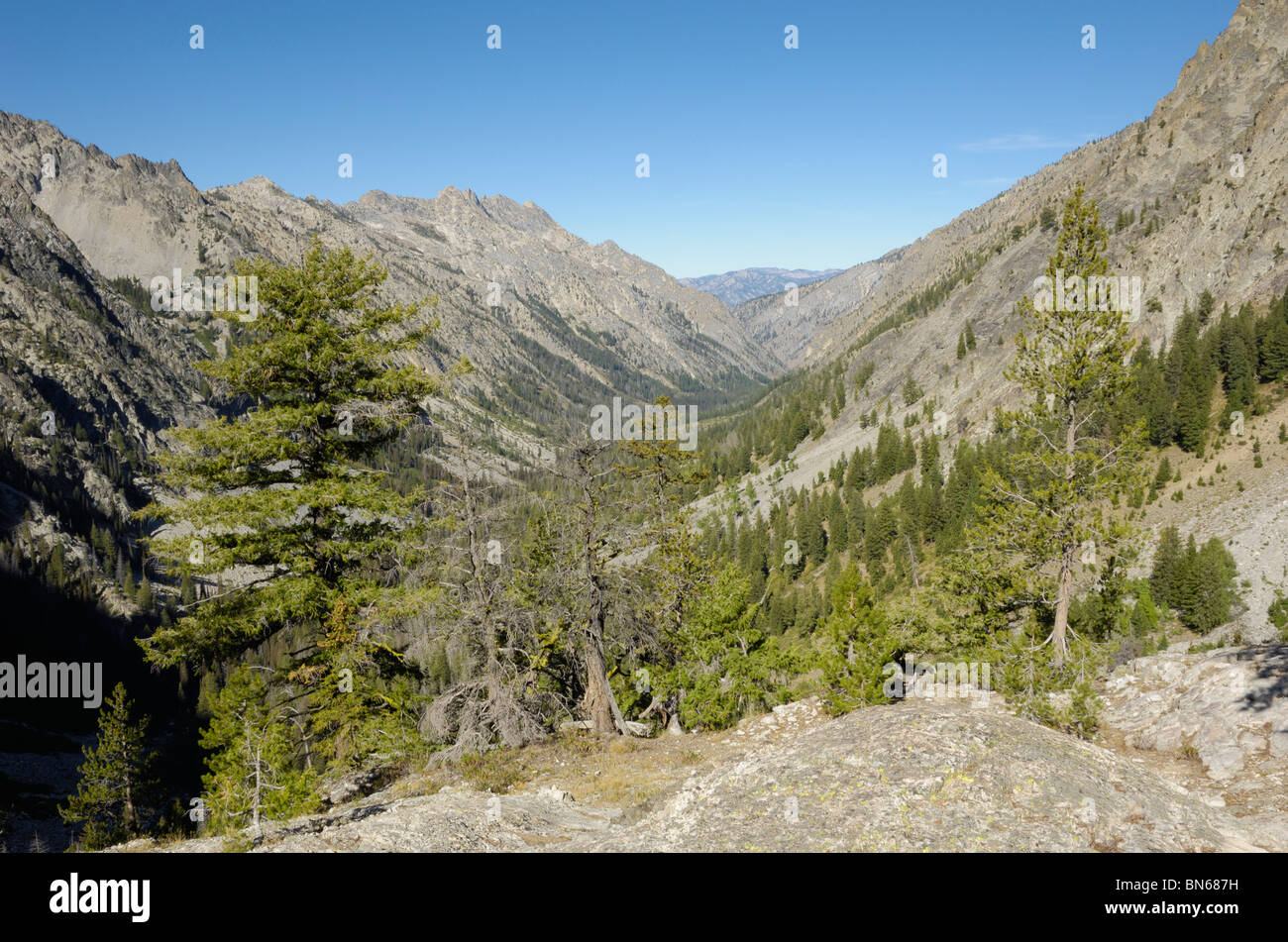 Baron Creek valley, Sawtooth Mountains, Sawtooth Wilderness / Sawtooth ...