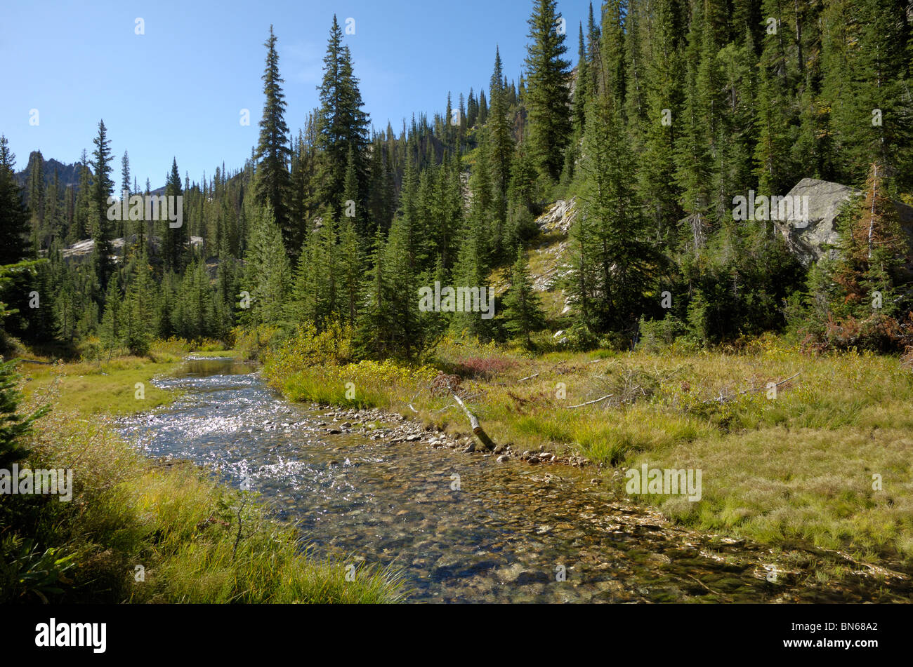 Baron Creek, Sawtooth Mountains, Sawtooth Wilderness / Sawtooth ...