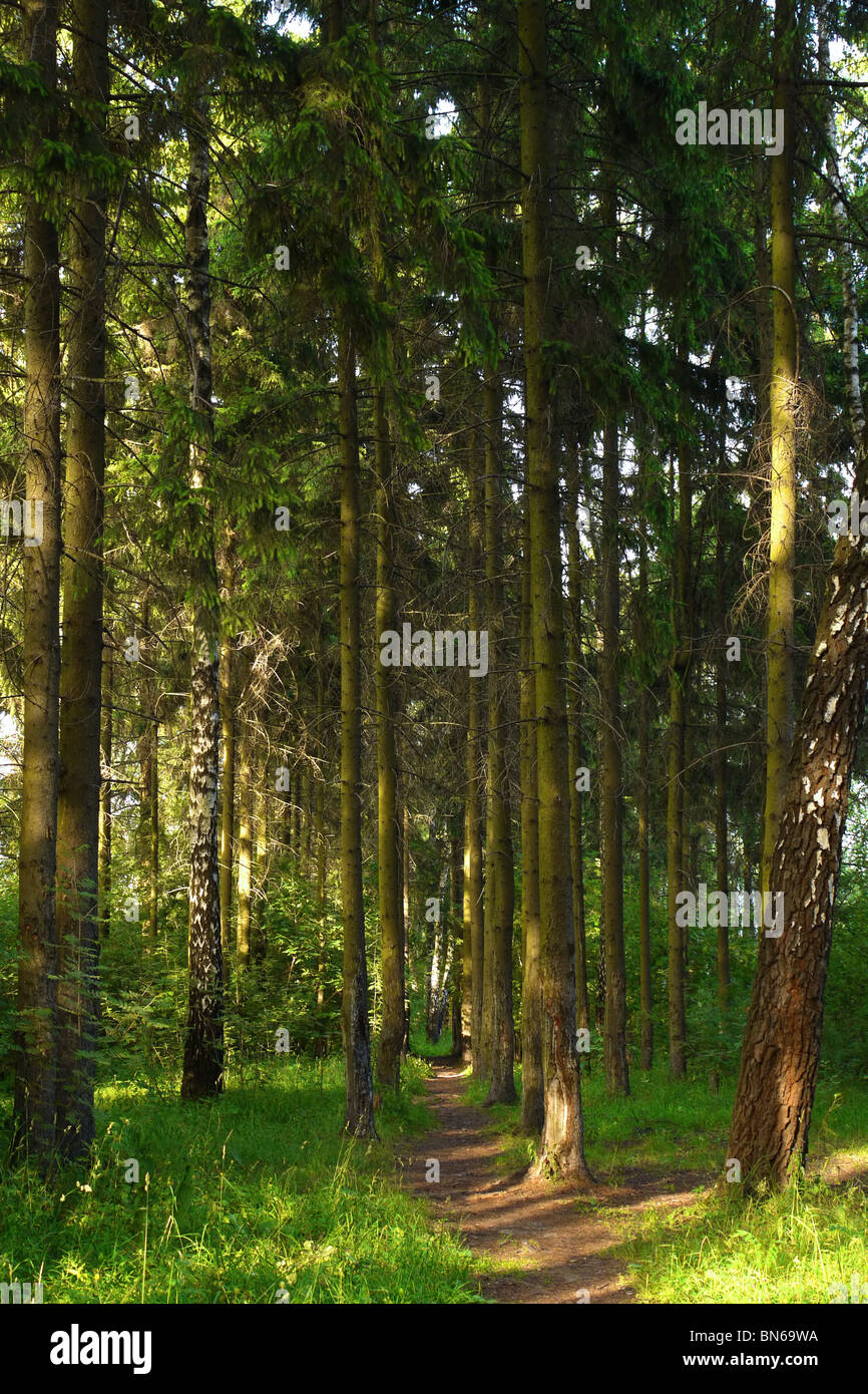 On outskirts moscow hi-res stock photography and images - Alamy
