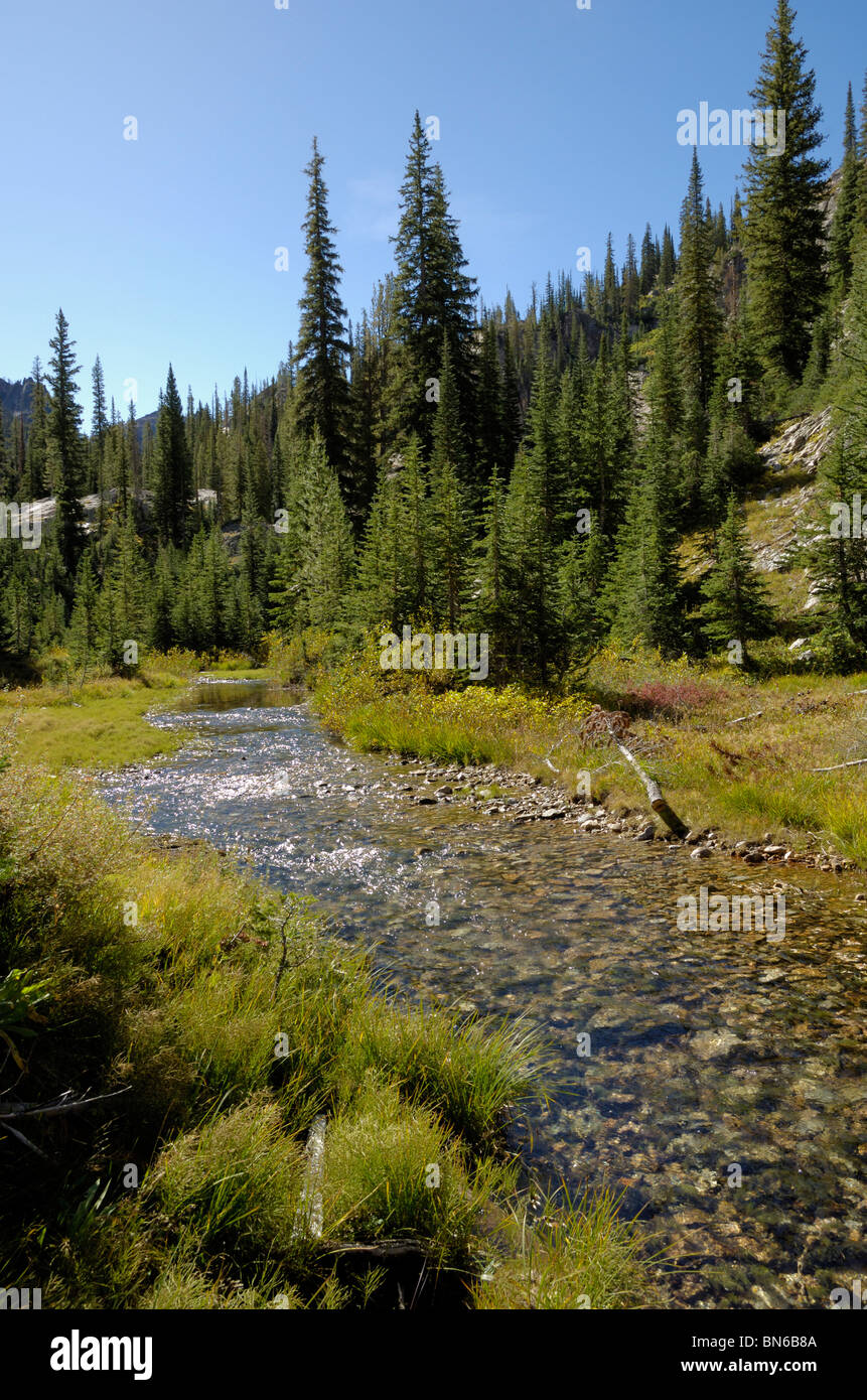Baron Creek, Sawtooth Mountains, Sawtooth Wilderness / Sawtooth ...