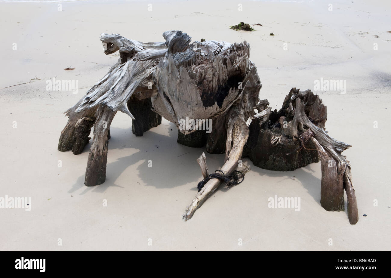 Carrabelle hi-res stock photography and images - Alamy