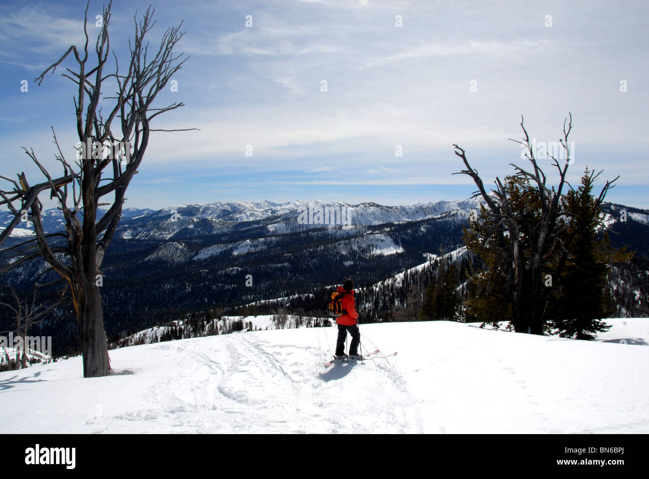 Skier on summit of unnamed mountain above Galena Pass, Sun Valley ...