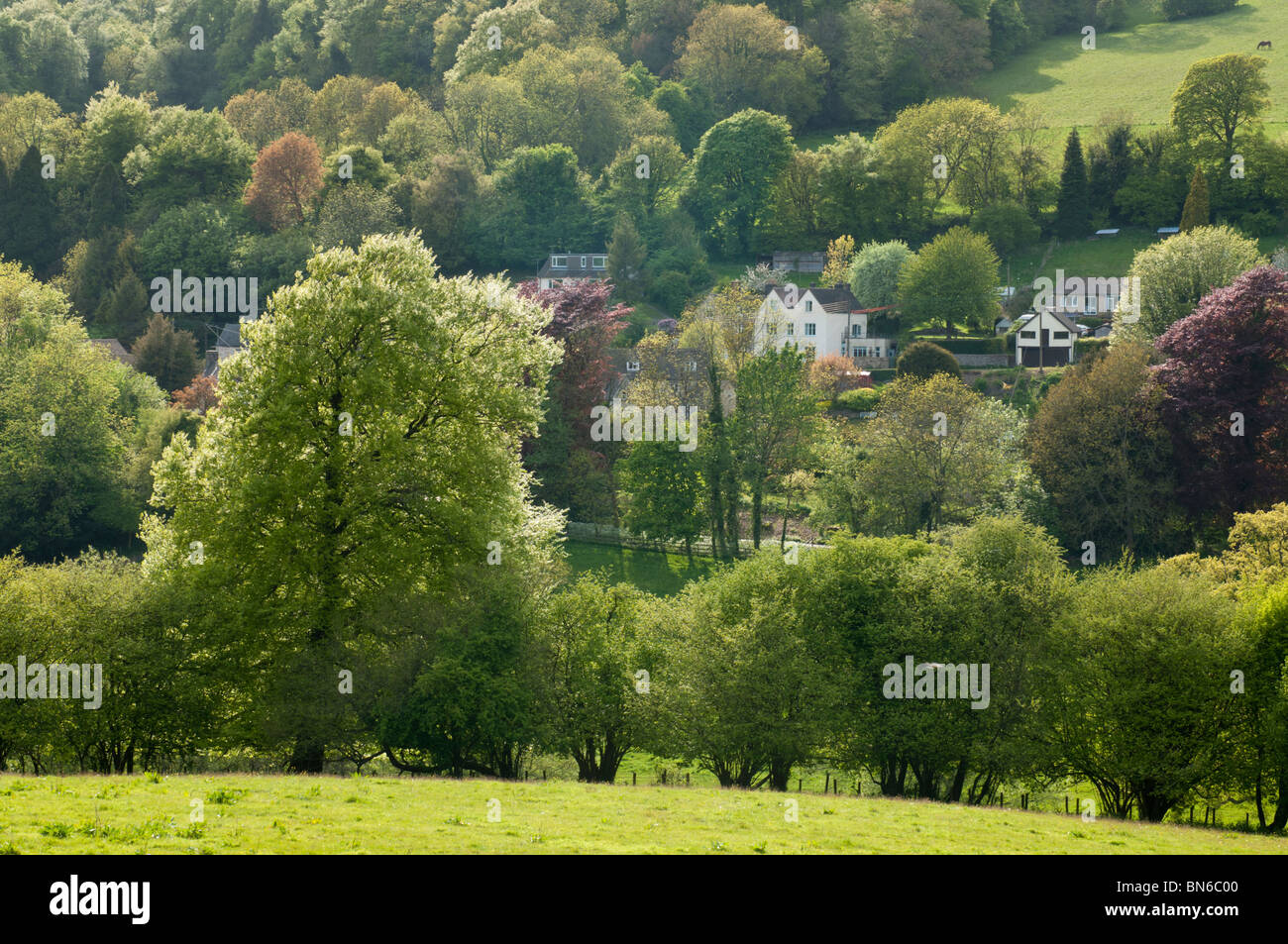 View of Slad, Gloucestershire, Cotswolds, UK Stock Photo - Alamy