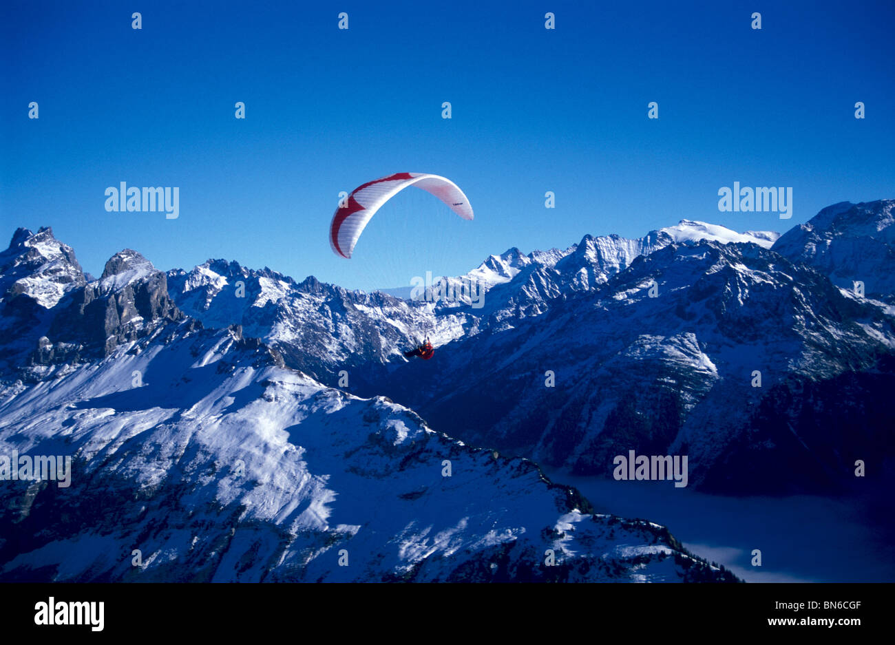 Parasailer gliding over Bernese Alps, winter, Switzerland Stock Photo ...