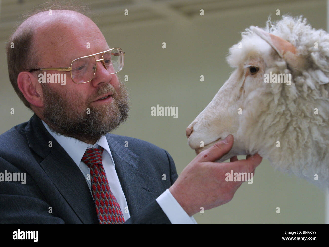 Professor Ian Wilmut stands beside Dolly The Sheep, (the sheep that he ...