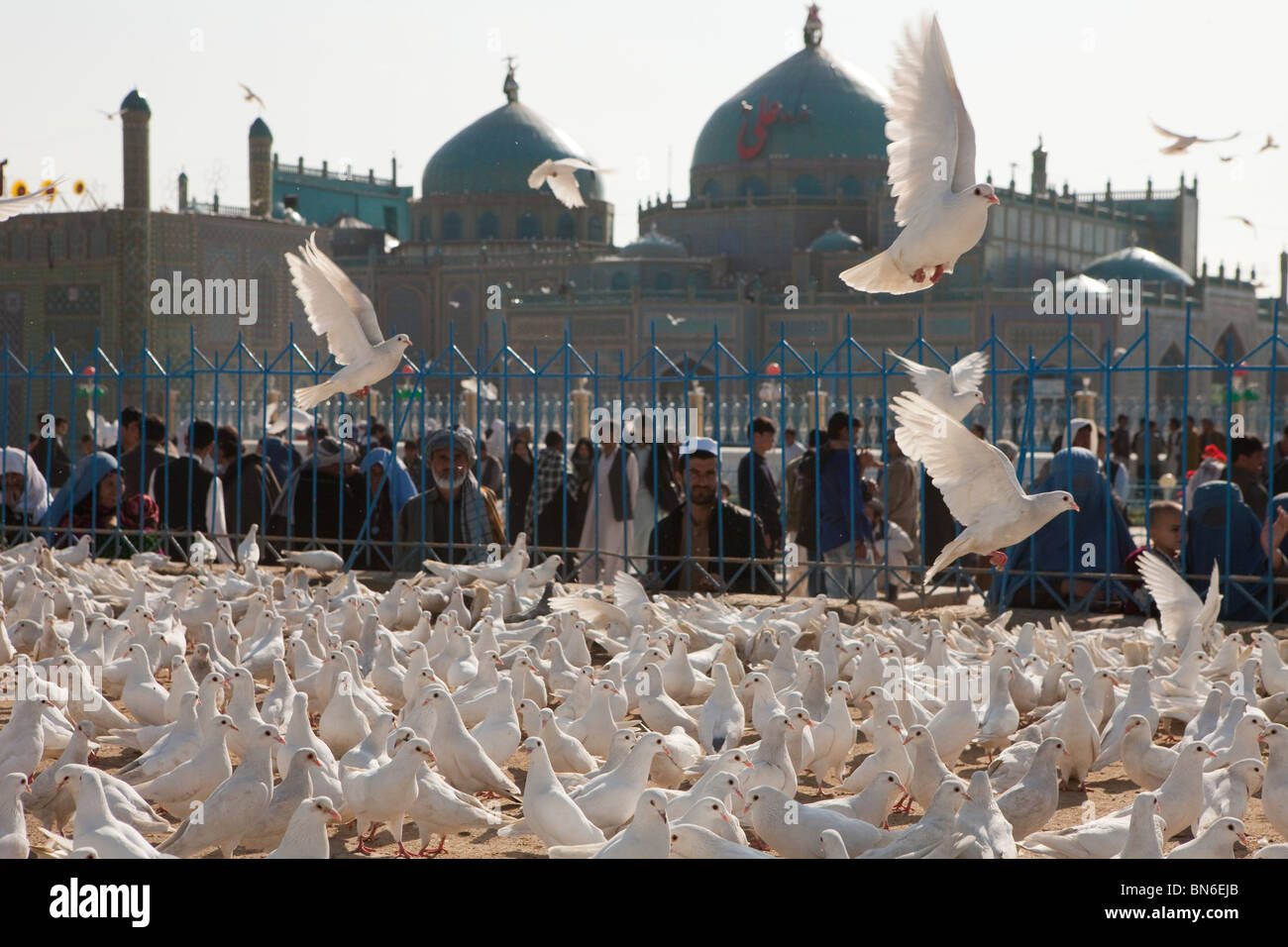 Hazrat ali mosque in Mazar-i-sharif (afghanistan) where Ali is believed ...