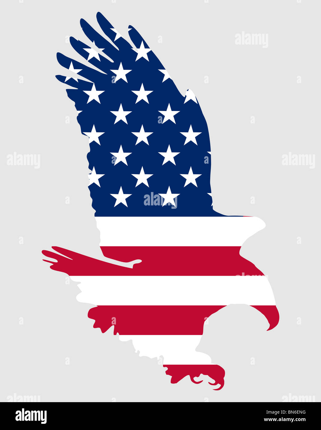 American bold eagle Stock Photo - Alamy