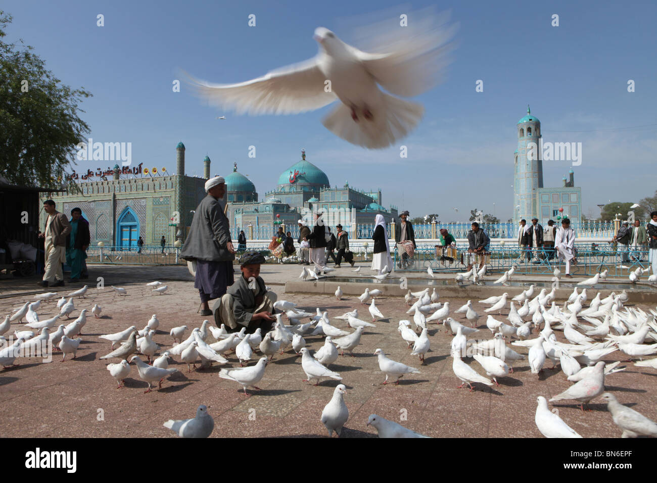 Hazrat ali mosque in Mazar-i-sharif (afghanistan) where Ali is believed ...