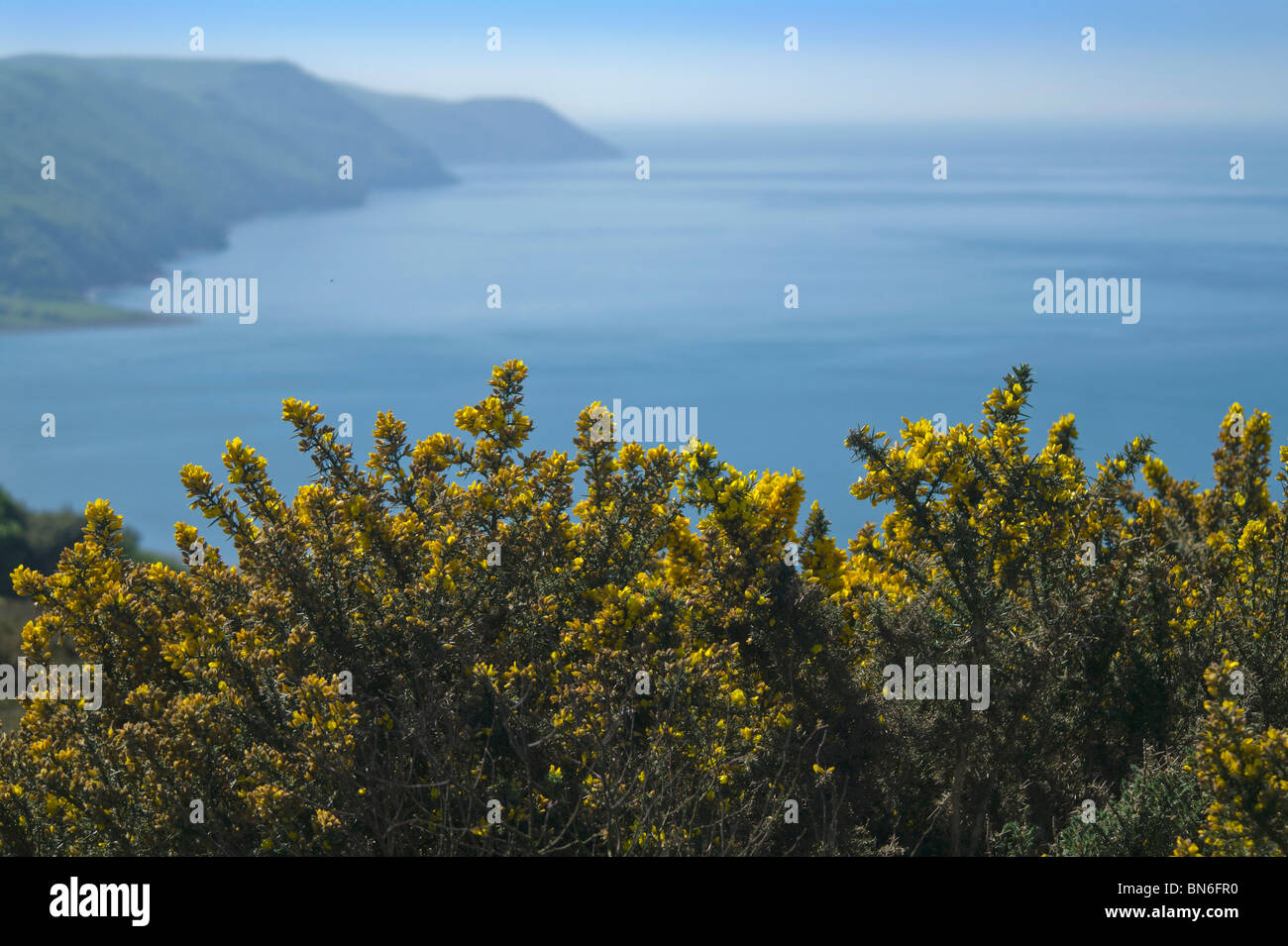 View from north hill minehead hi-res stock photography and images - Alamy