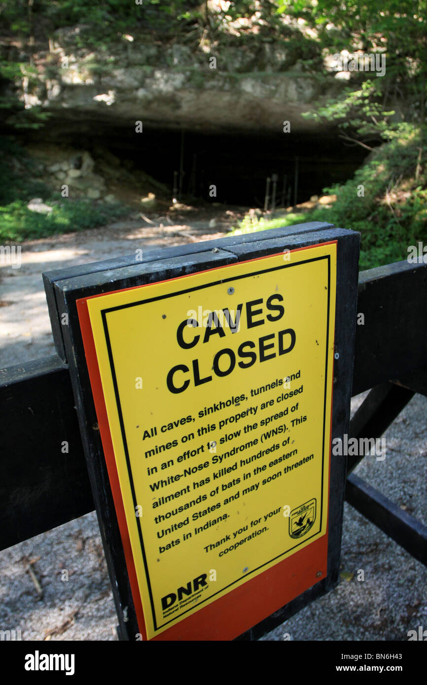 Wyandotte Caves closed sign to protect bats from white nose syndrome ...